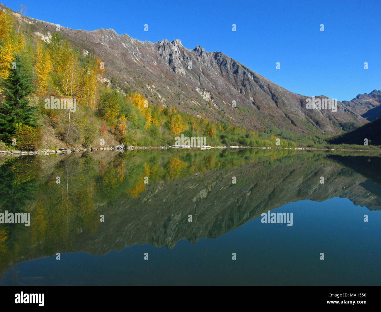 Coldwater Lake Loop Trail in WA Stock Photo - Alamy
