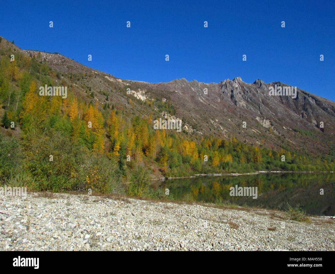 Coldwater Lake Loop Trail in WA Stock Photo - Alamy