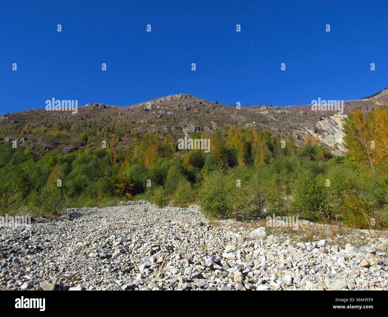 Coldwater Lake Loop Trail in WA Stock Photo - Alamy