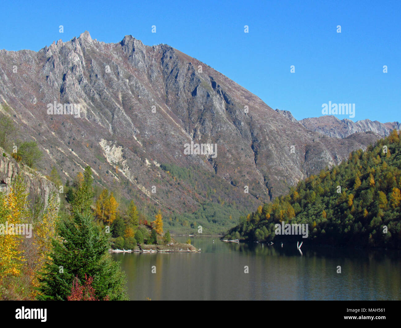 Coldwater Lake Loop Trail in WA Stock Photo - Alamy