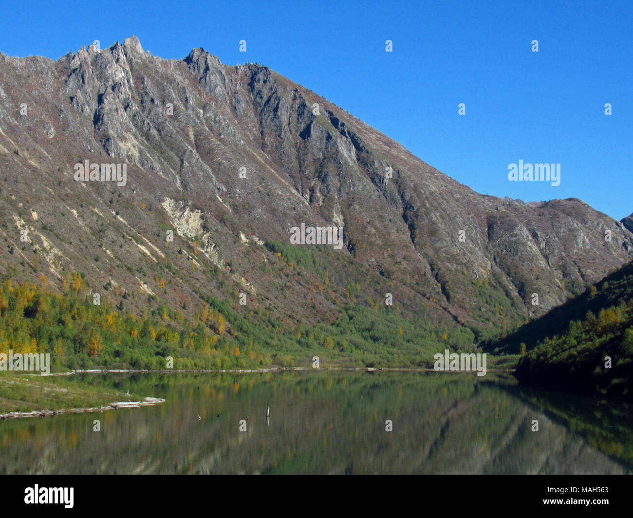 Coldwater Lake Loop Trail in WA Stock Photo - Alamy