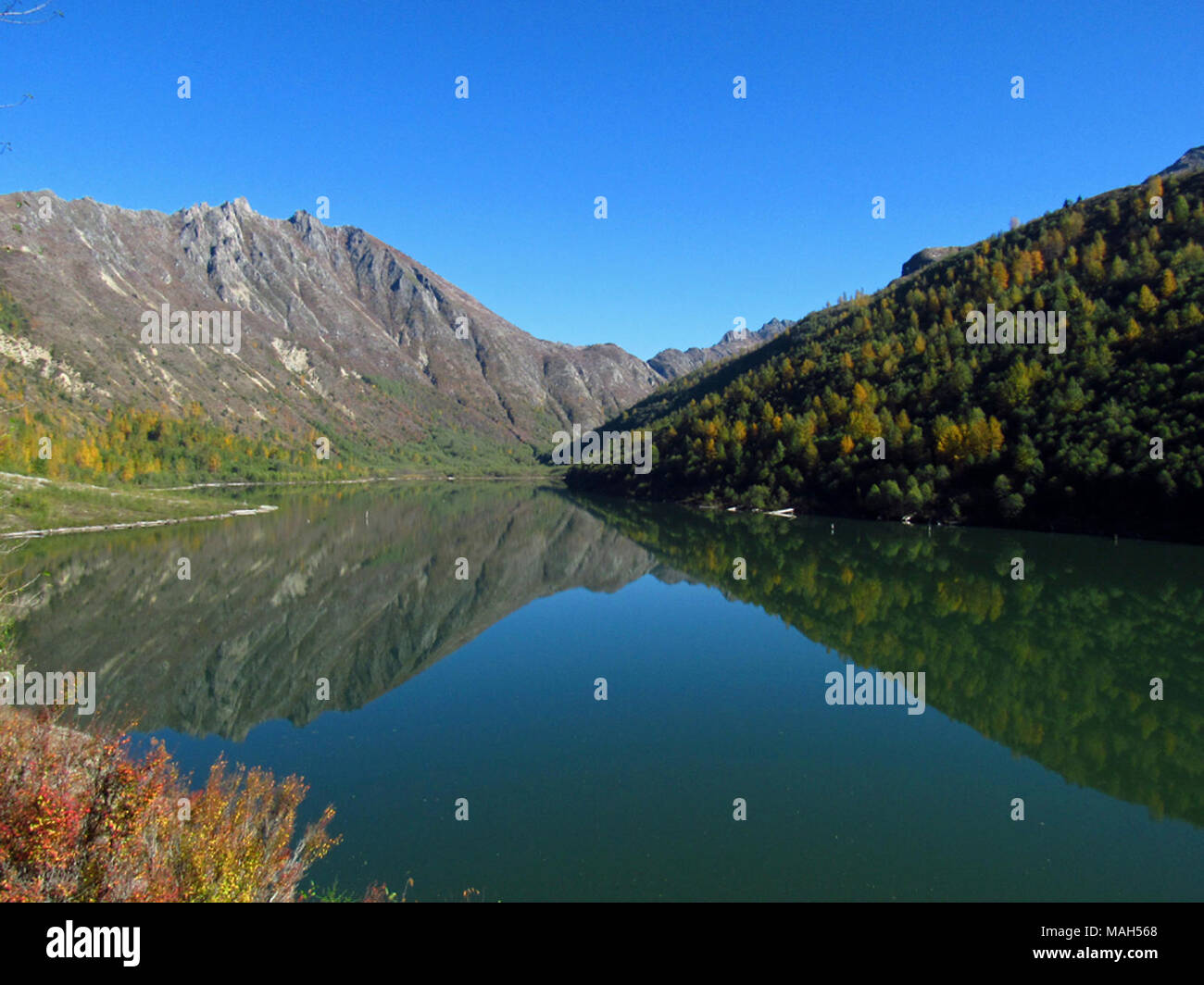 Coldwater Lake Loop Trail in WA Stock Photo - Alamy