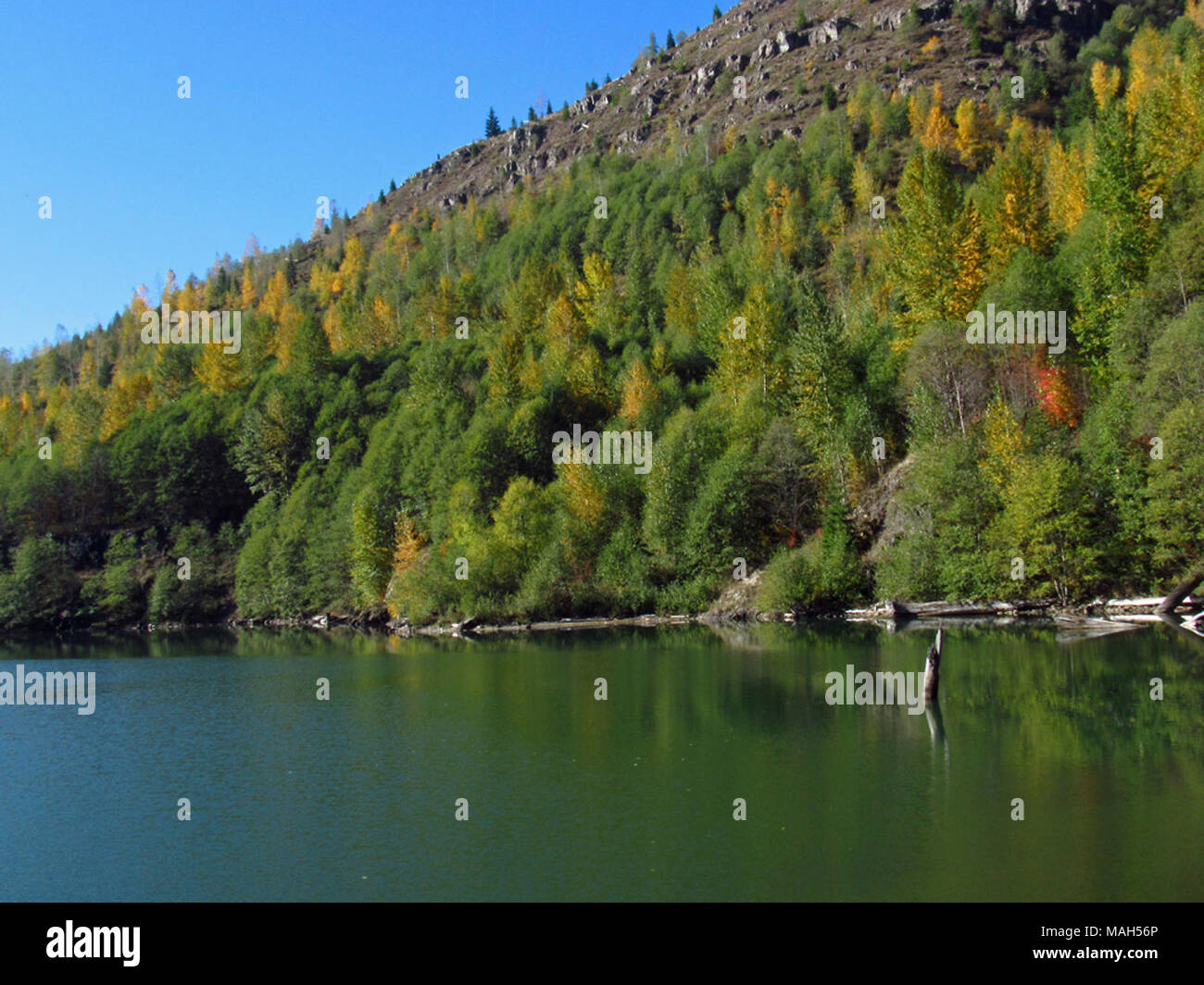 Coldwater Lake Loop Trail in WA Stock Photo - Alamy