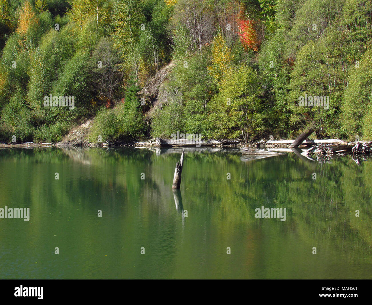Coldwater Lake Loop Trail in WA Stock Photo - Alamy