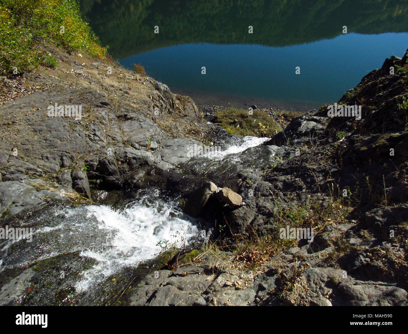 Coldwater Lake Loop Trail in WA Stock Photo - Alamy