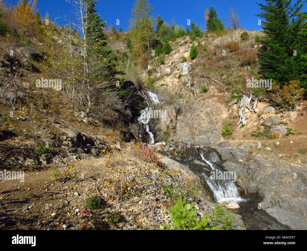 Coldwater Lake Loop Trail in WA Stock Photo - Alamy