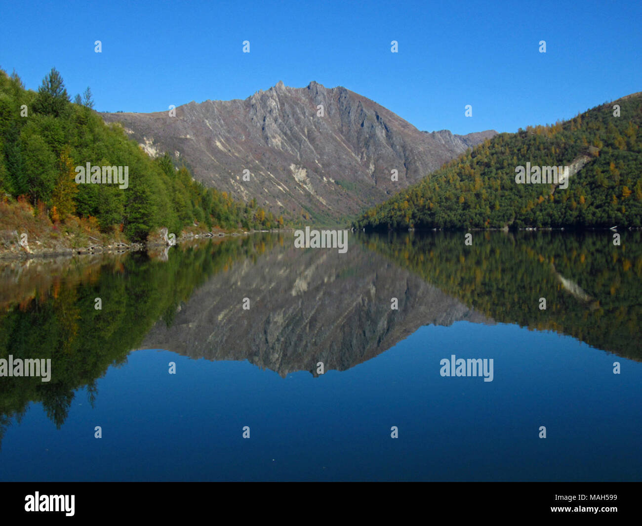 Coldwater Lake Loop Trail in WA Stock Photo - Alamy