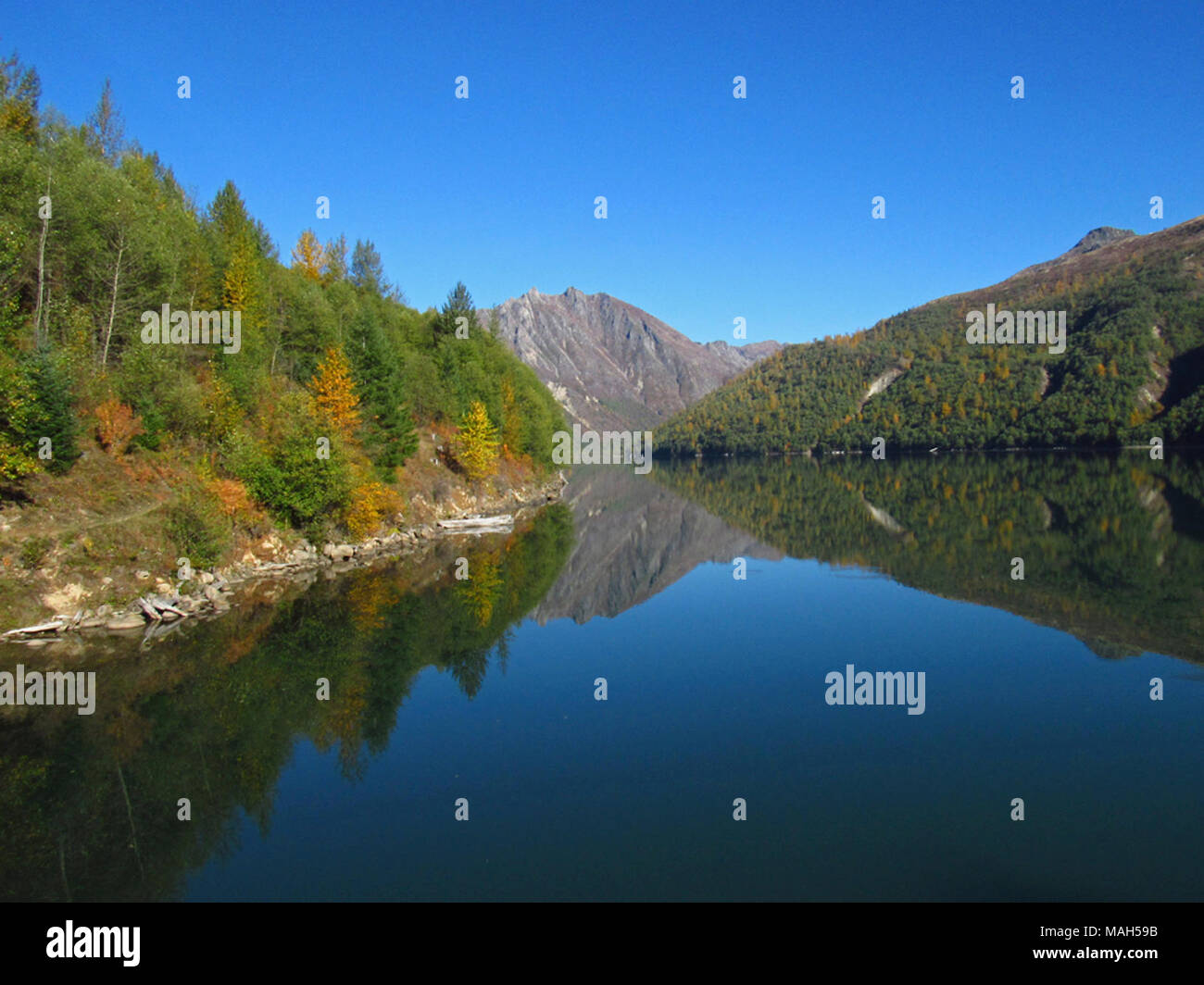 Coldwater Lake Loop Trail in WA Stock Photo - Alamy