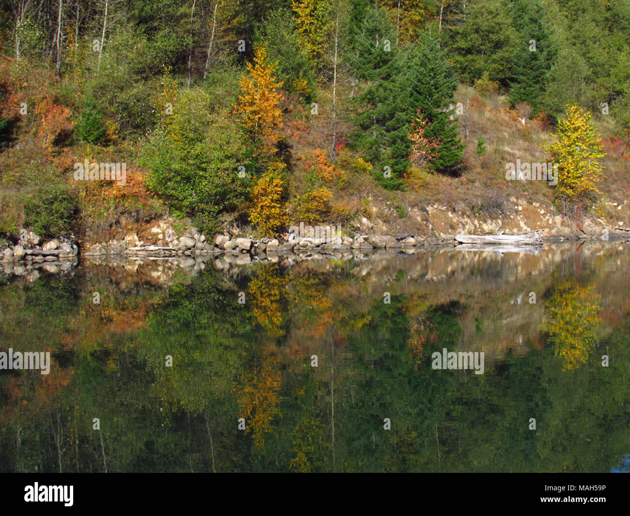 Coldwater Lake Loop Trail in WA Stock Photo - Alamy