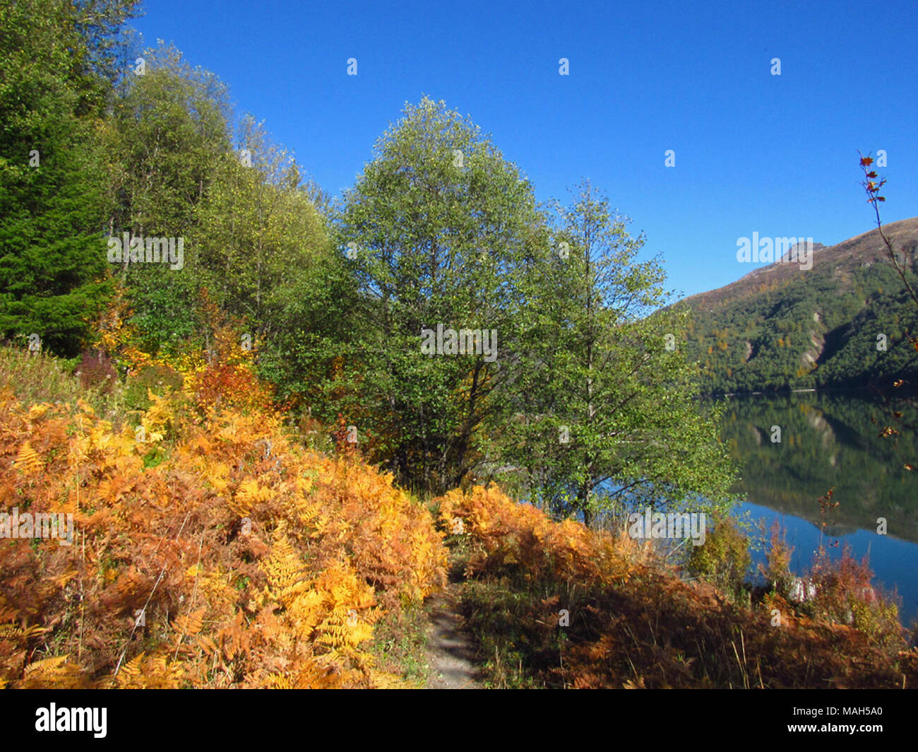 Coldwater Lake Loop Trail in WA Stock Photo - Alamy