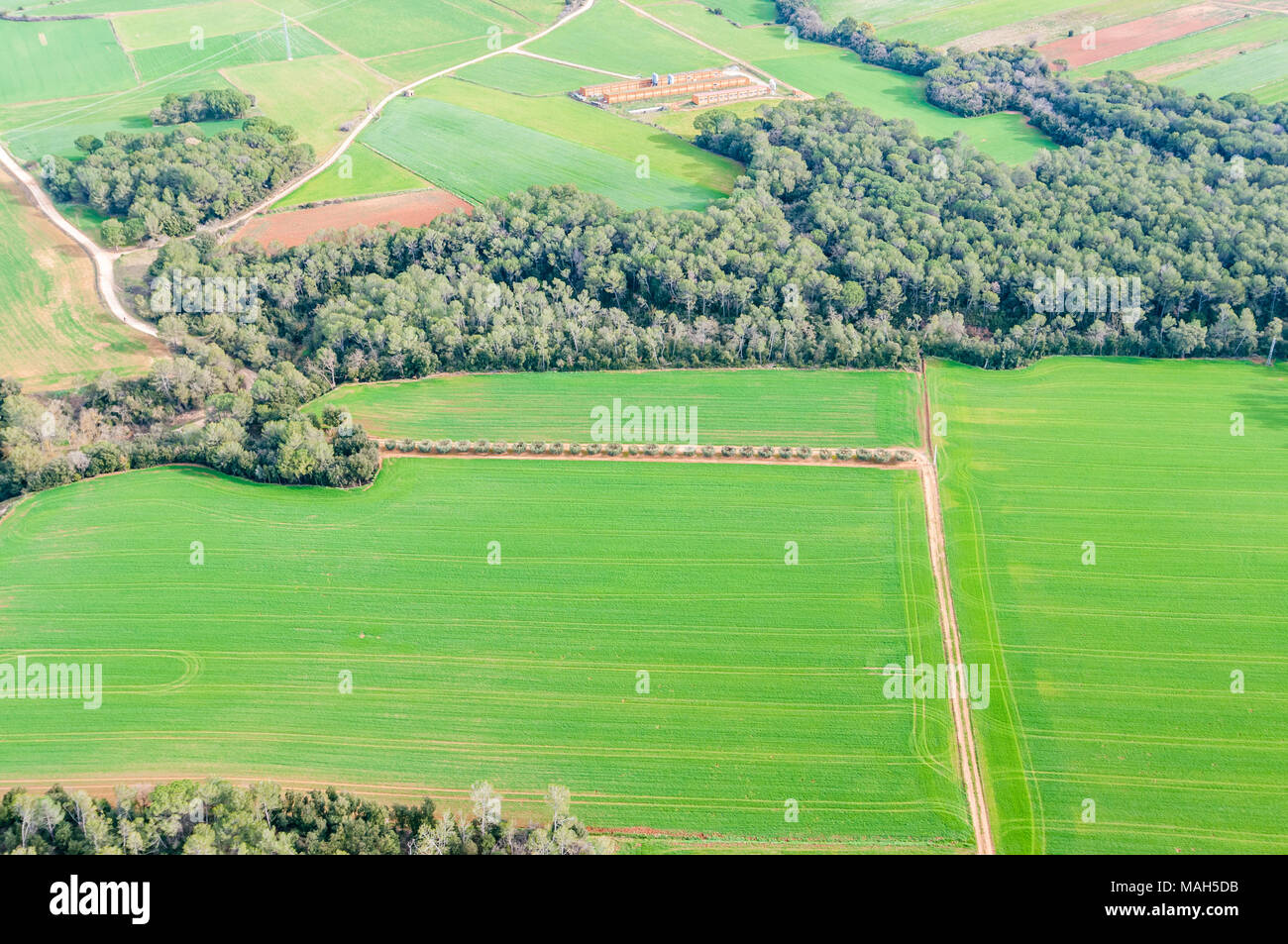 aerial view of crop fields with forest claps, Garrotxa, Catalonia ...