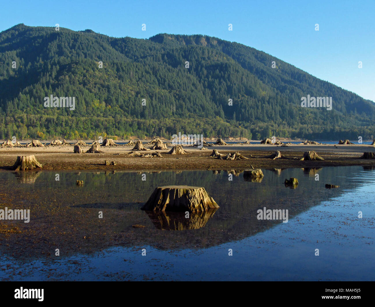 Yale national park hi-res stock photography and images - Alamy
