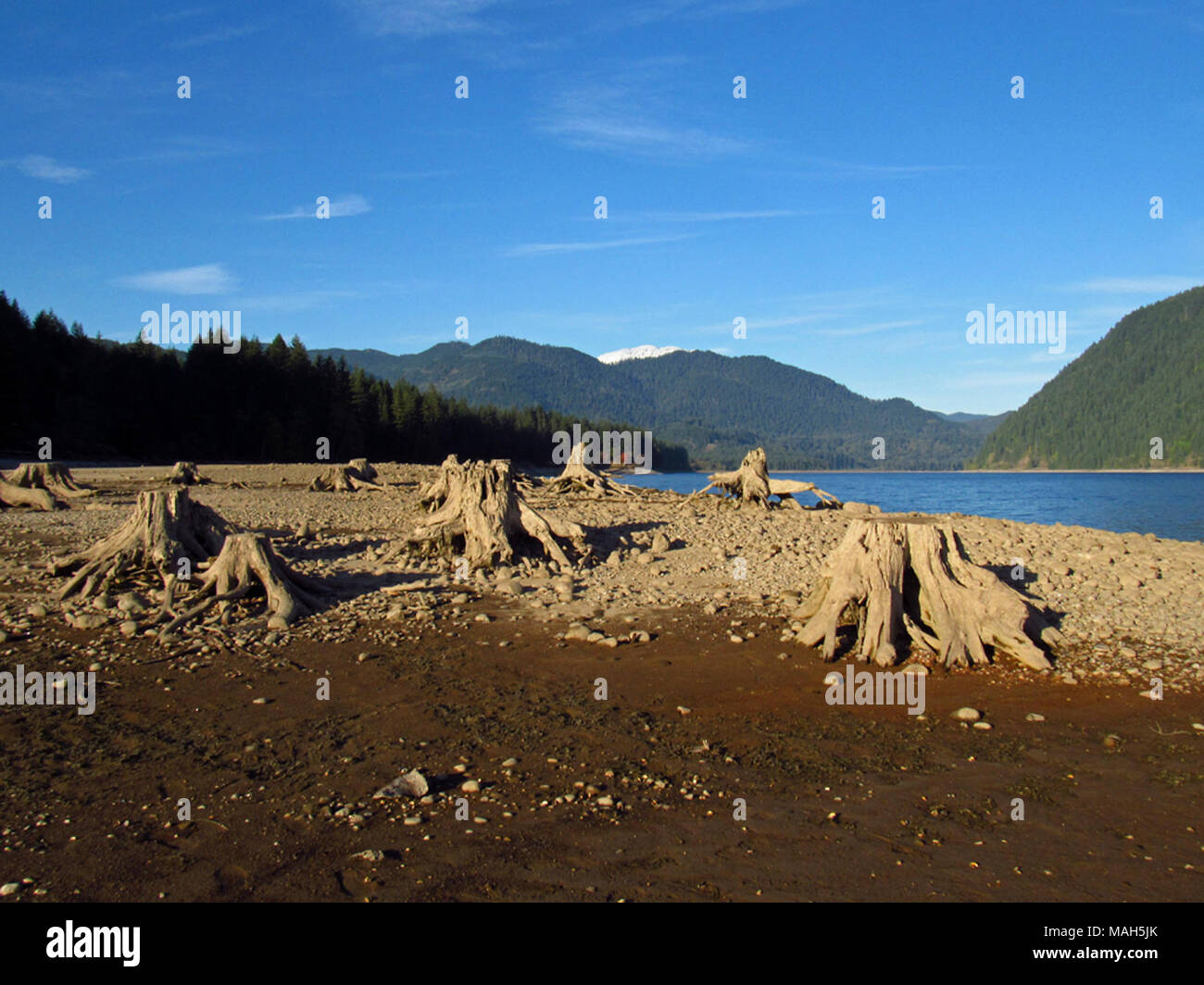 Yale Lake in WA Stock Photo - Alamy