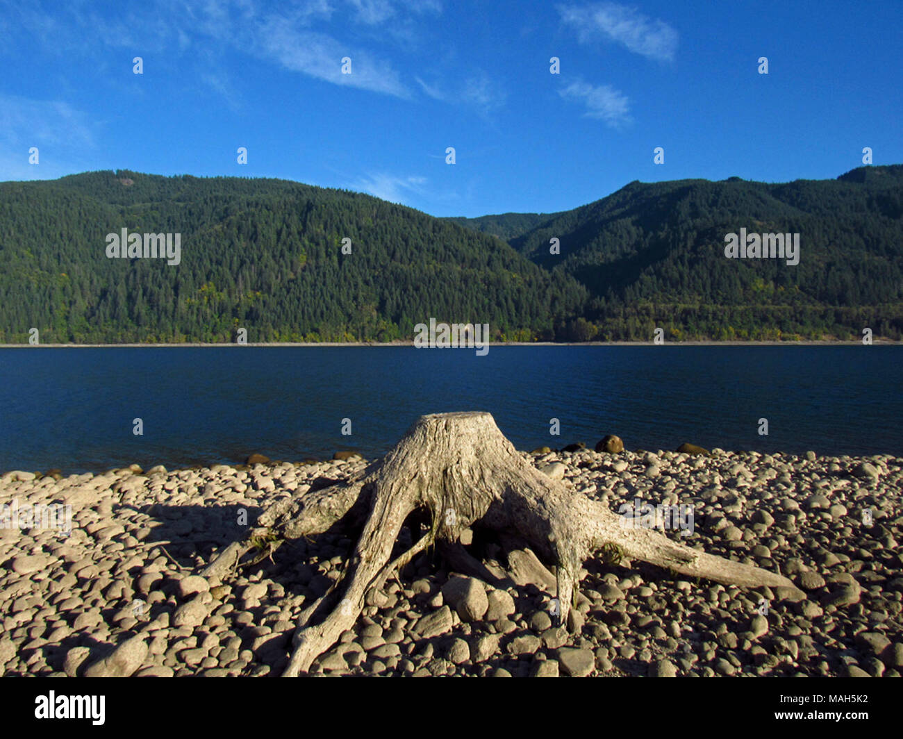 Yale Lake in WA Stock Photo - Alamy