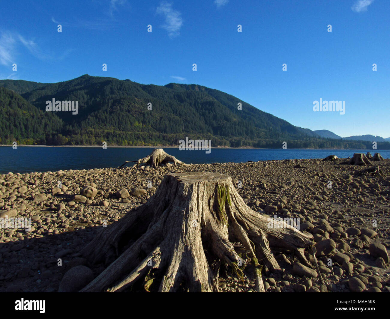 Yale lake hi-res stock photography and images - Alamy