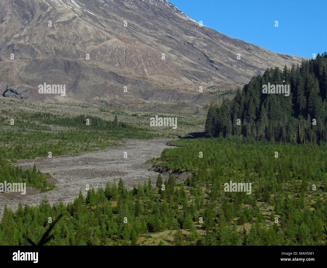 Ape Canyon Trail at Mt St Helens in WA Stock Photo - Alamy