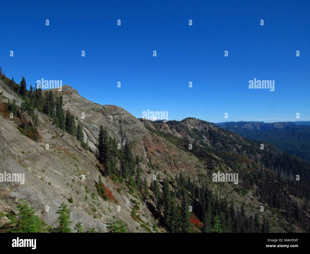 Ape Canyon Trail at Mt St Helens in WA Stock Photo - Alamy