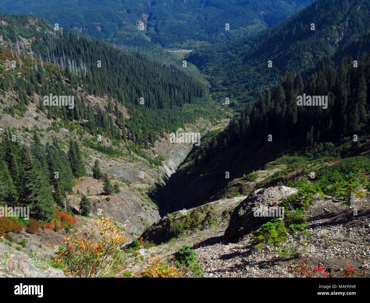 Ape Canyon Trail at Mt St Helens in WA Stock Photo - Alamy