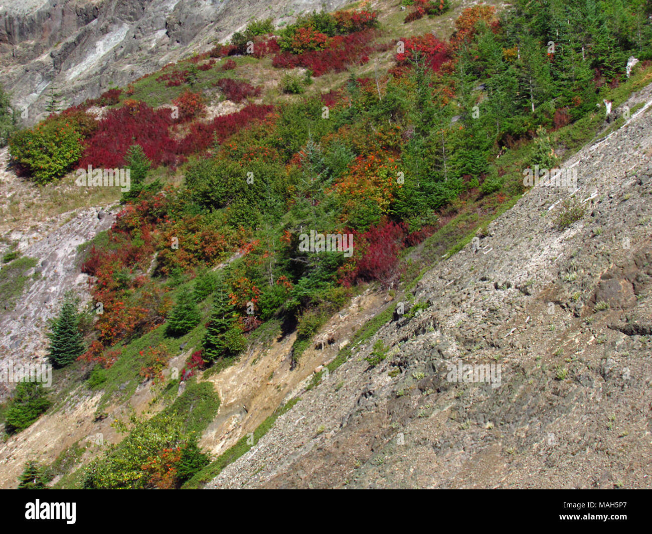 Ape Canyon Trail at Mt St Helens in WA Stock Photo - Alamy
