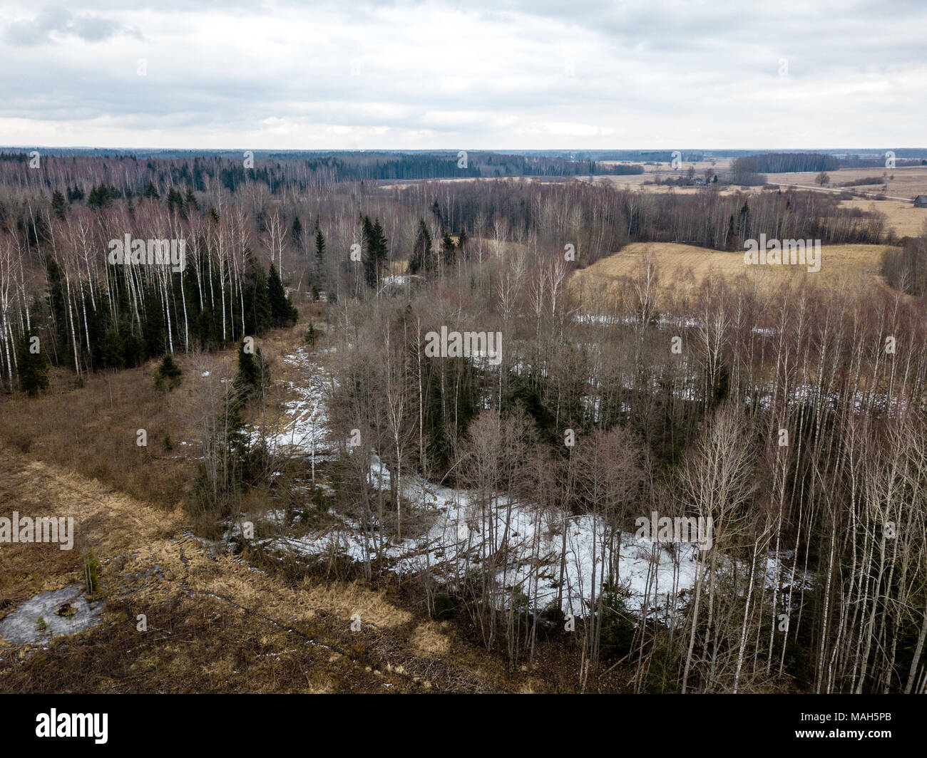 drone image. aerial view of rural area with houses and road network ...