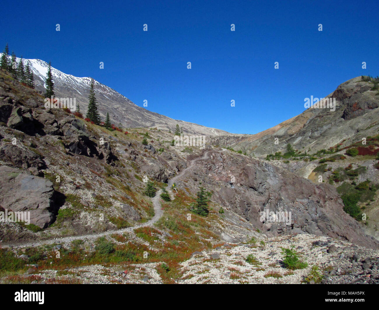 Ape Canyon Trail at Mt St Helens in WA Stock Photo - Alamy