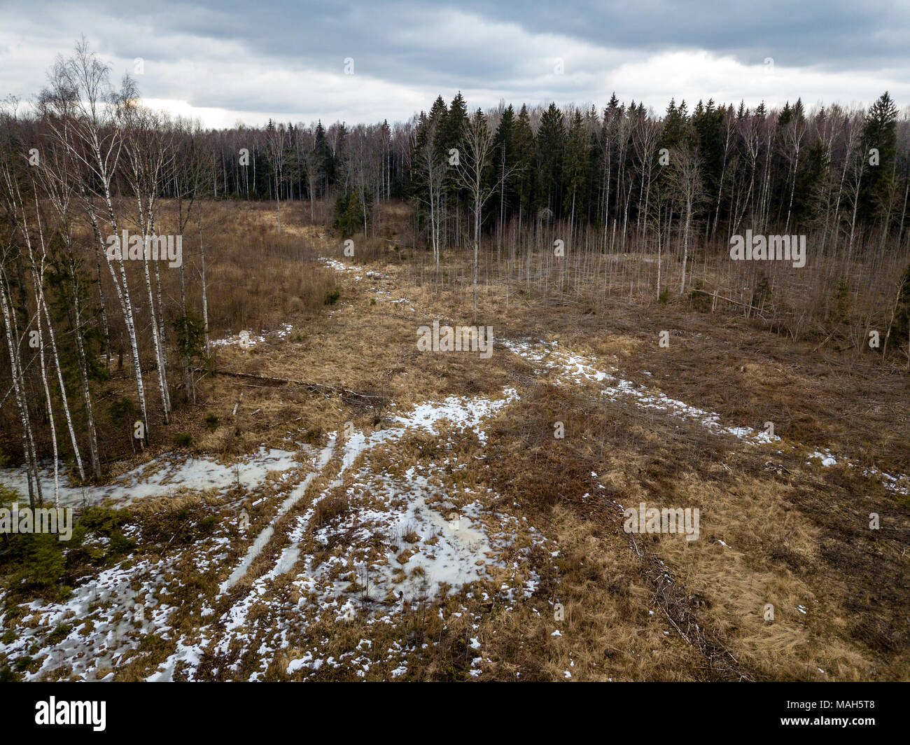 drone image. aerial view of rural area with fields and forest details ...