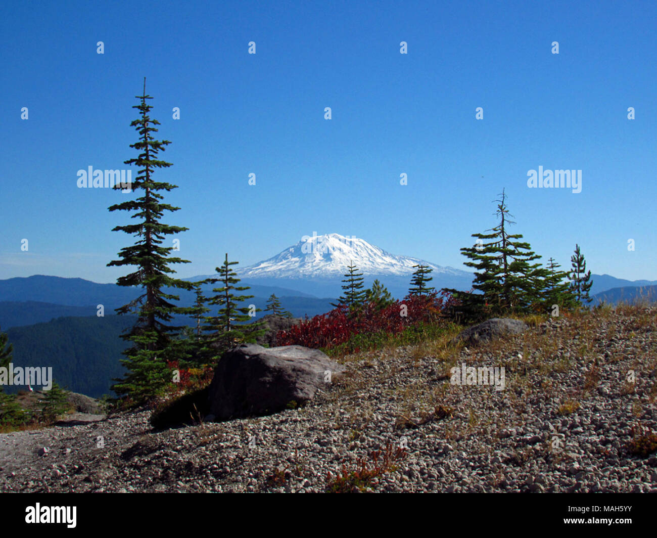 Mt Adams on Ape Canyon Trail in WA Stock Photo - Alamy