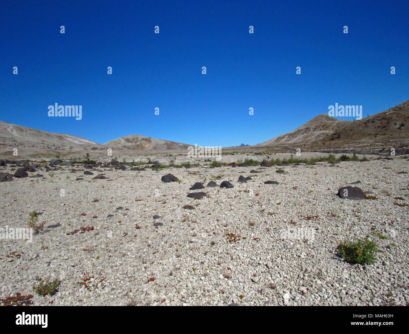 Plains of Abraham at Mt St Helens in WA Stock Photo - Alamy