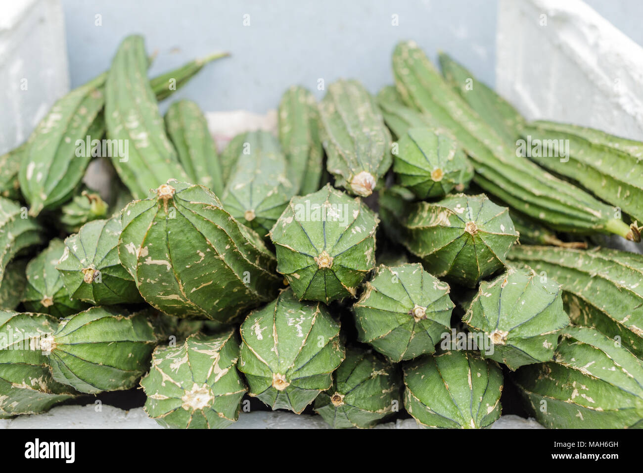 Sponge gourd fresh vegetable hi-res stock photography and images - Alamy