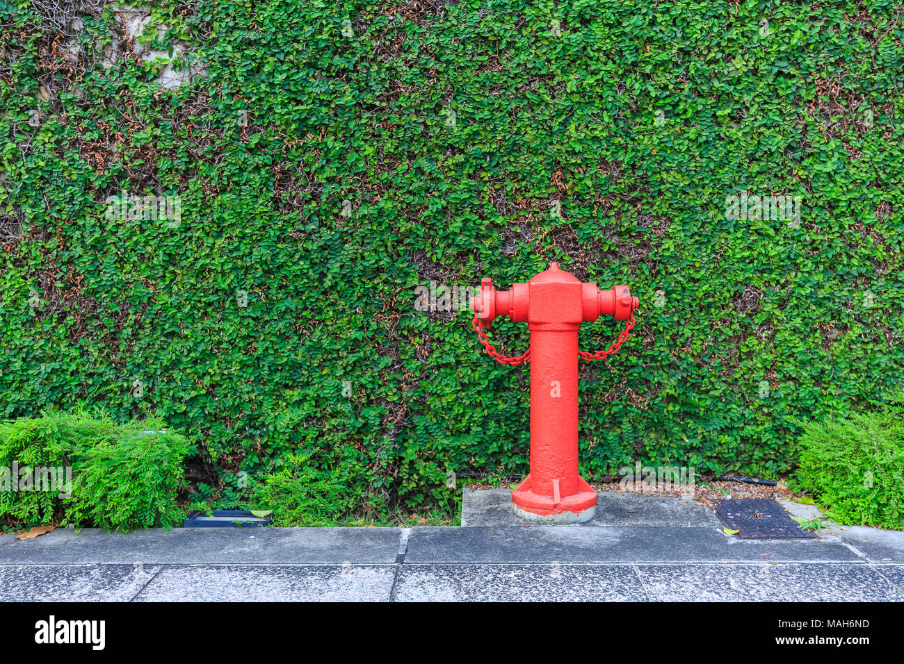 Fire engine water supply hi-res stock photography and images - Alamy