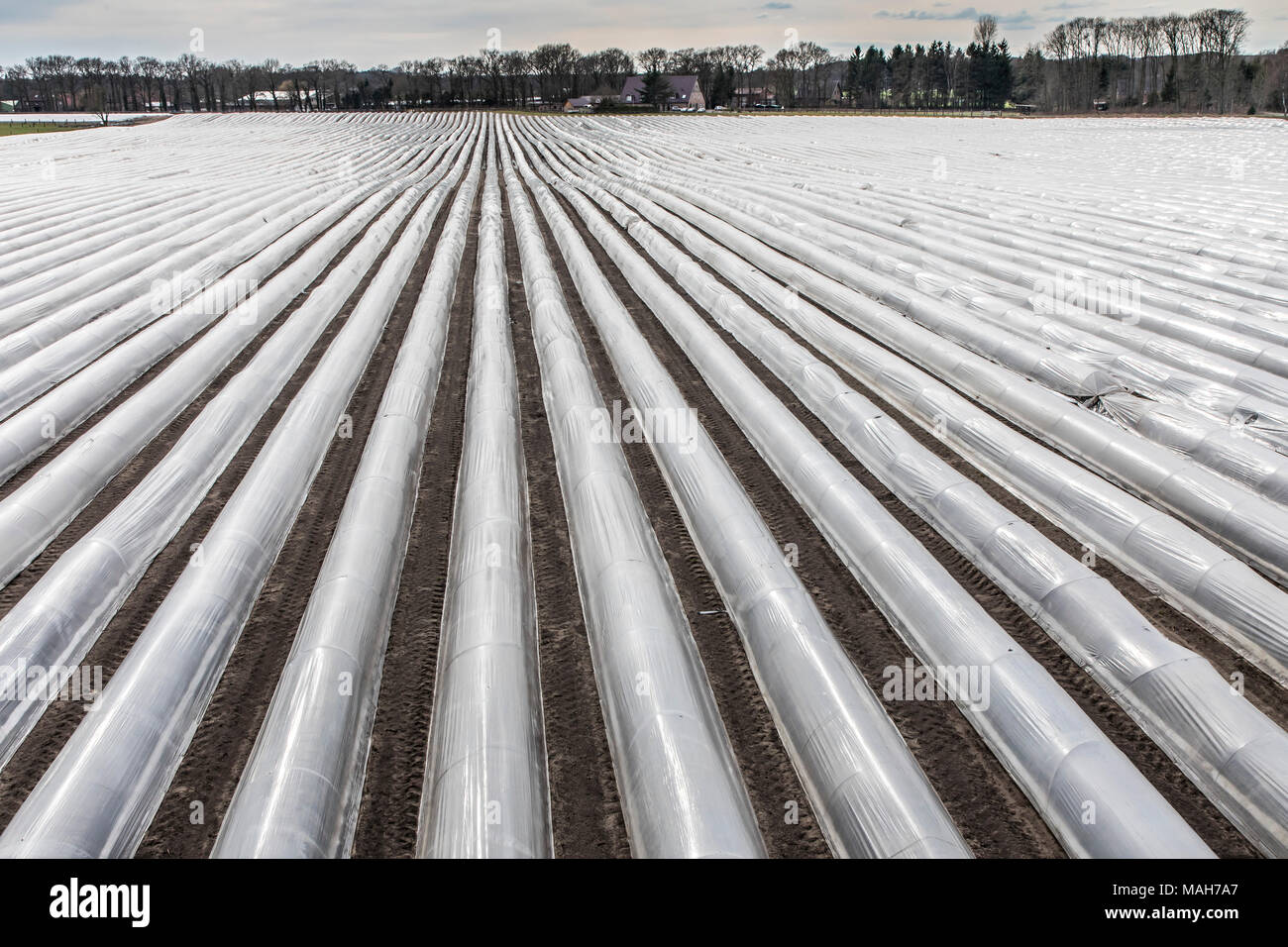 Agriculture, farming, Greenhouses, mobile, made of plastic, plastic ...