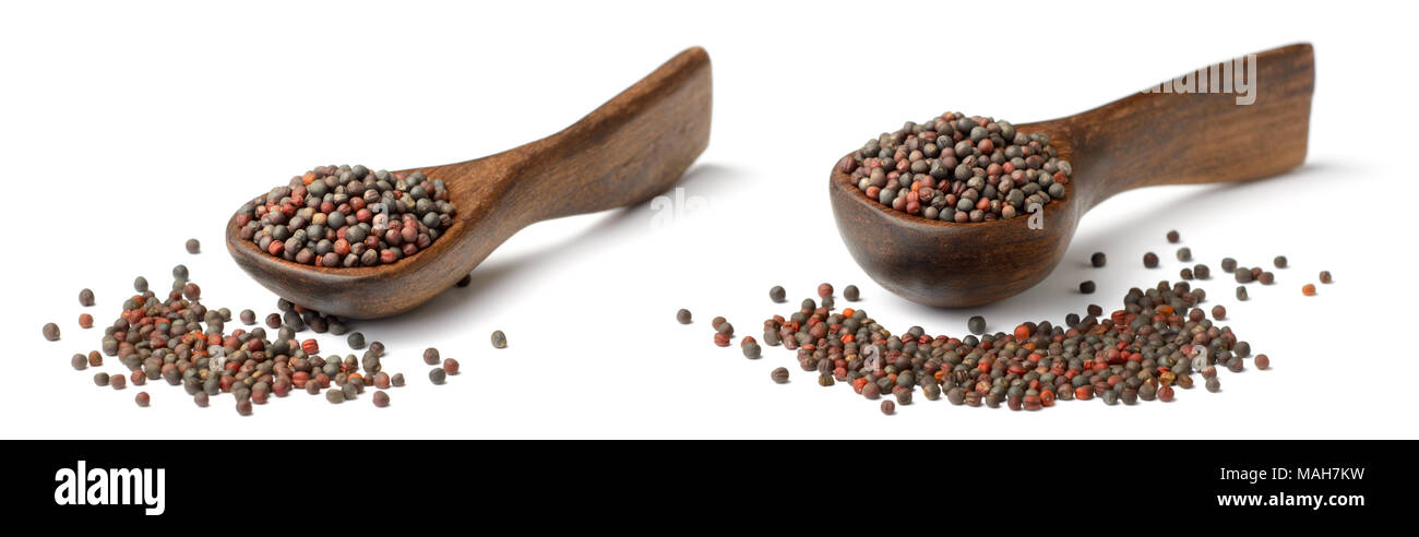 dried canola seeds isolated on white background Stock Photo - Alamy