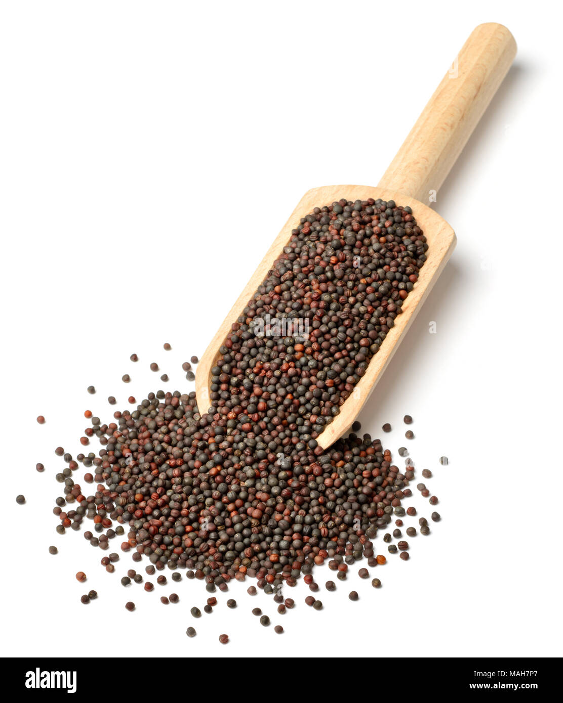 dried canola seeds isolated on white background Stock Photo - Alamy