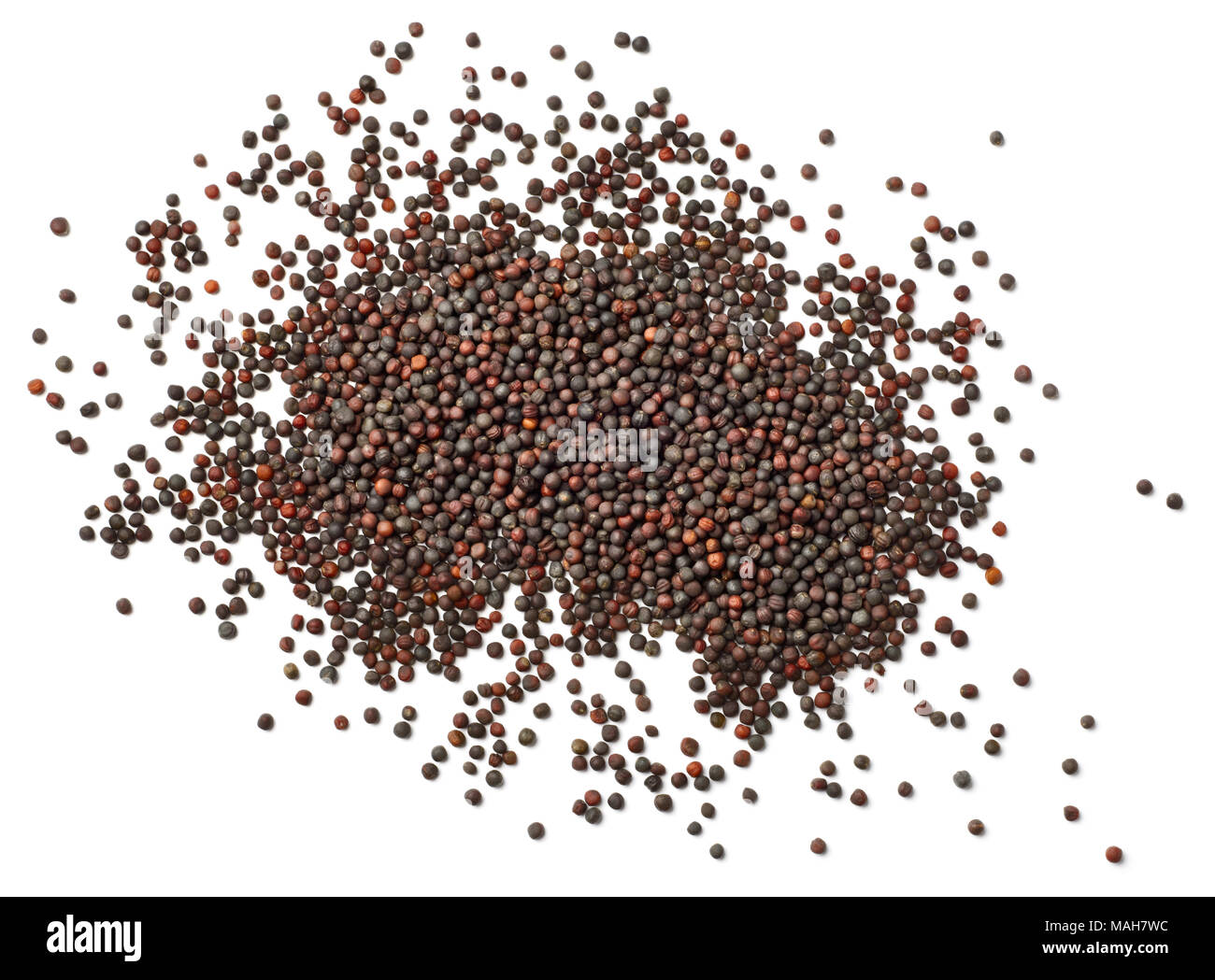 Canola seeds hi-res stock photography and images - Alamy