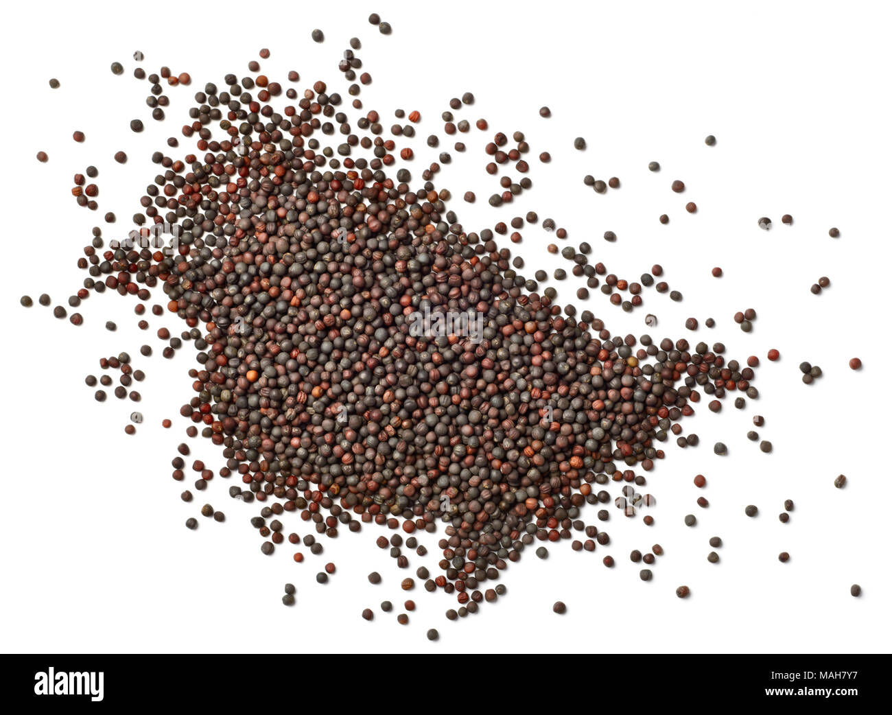 dried canola seeds isolated on white background Stock Photo - Alamy