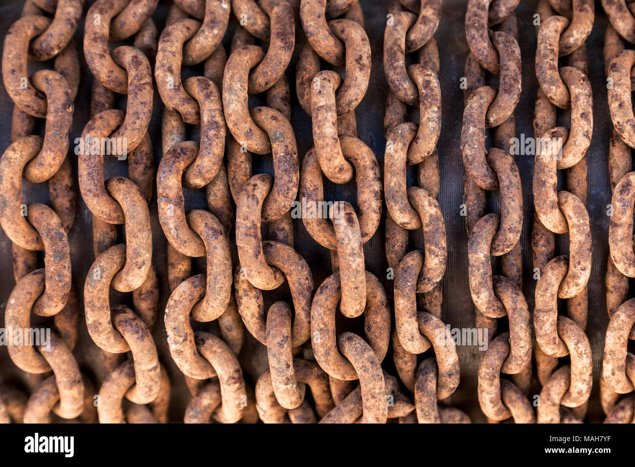 tree rusty chains, over a white background Stock Photo - Alamy