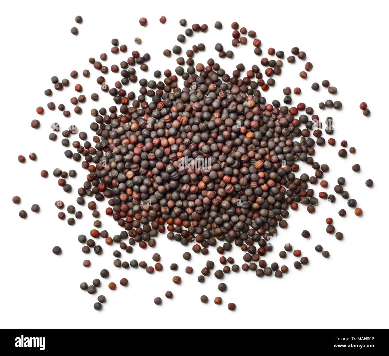Canola seeds hi-res stock photography and images - Alamy