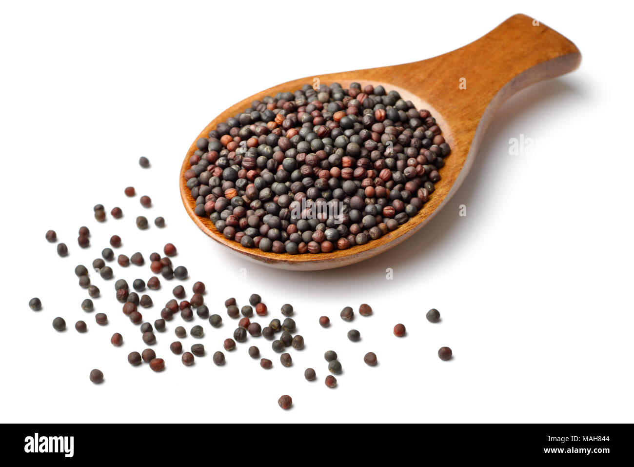 Canola Seeds High Resolution Stock Photography and Images - Alamy