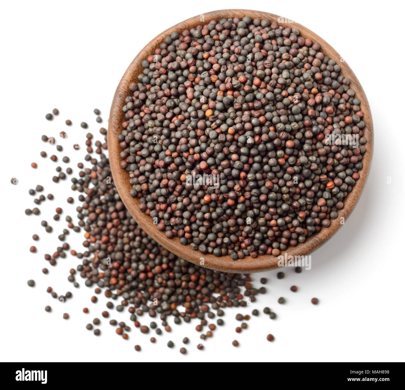 Canola Seed