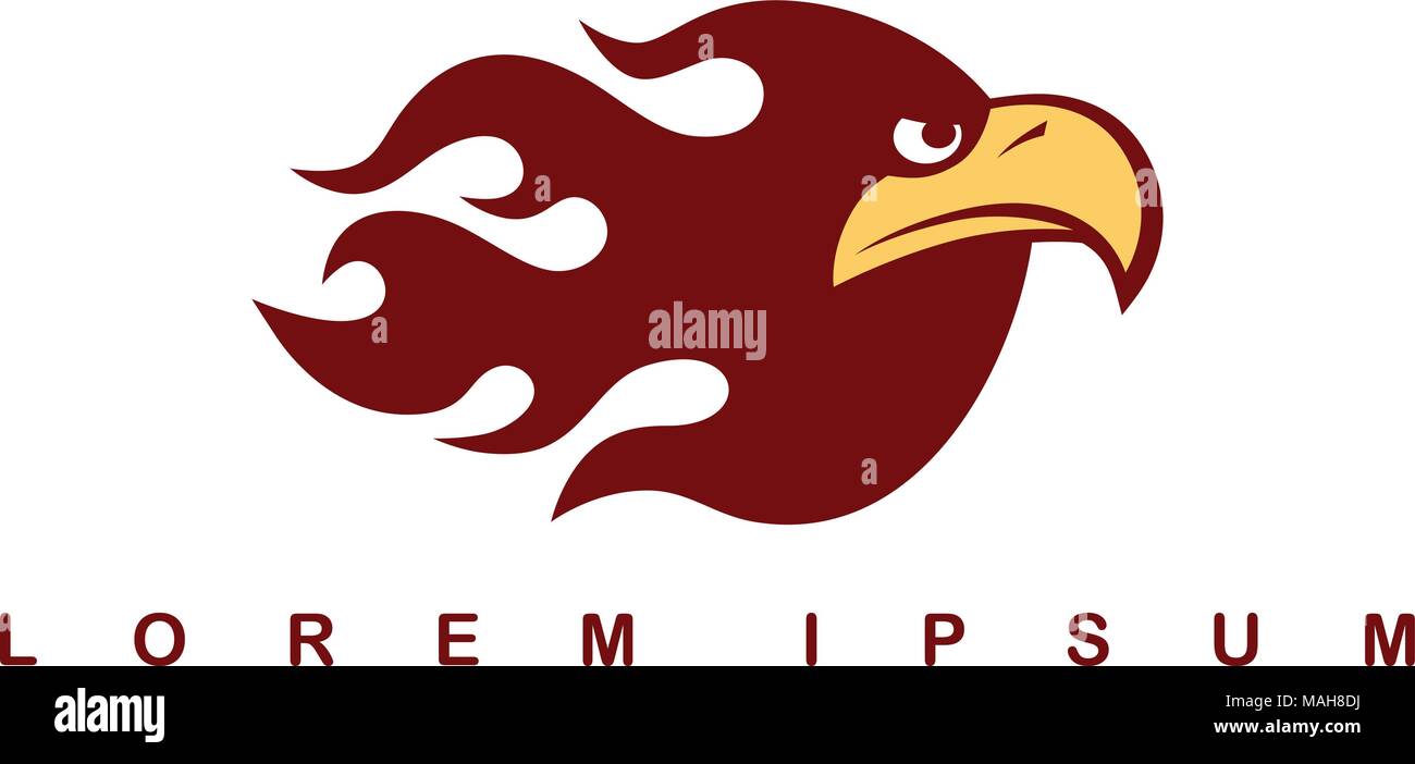 fire flame theme eagle hawk bird logo template vector art Stock Vector ...