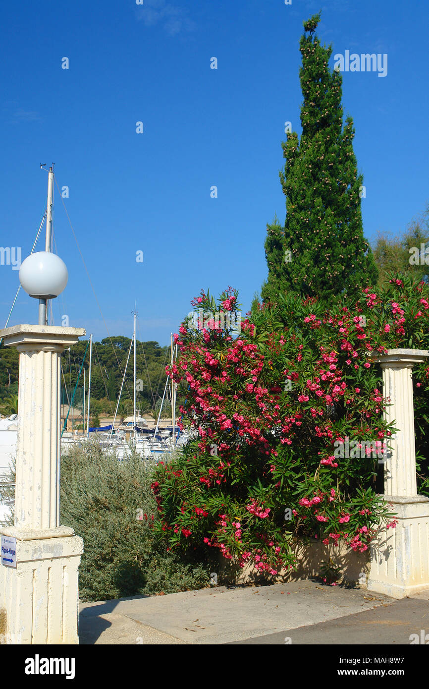 Embiez islands hi-res stock photography and images - Alamy