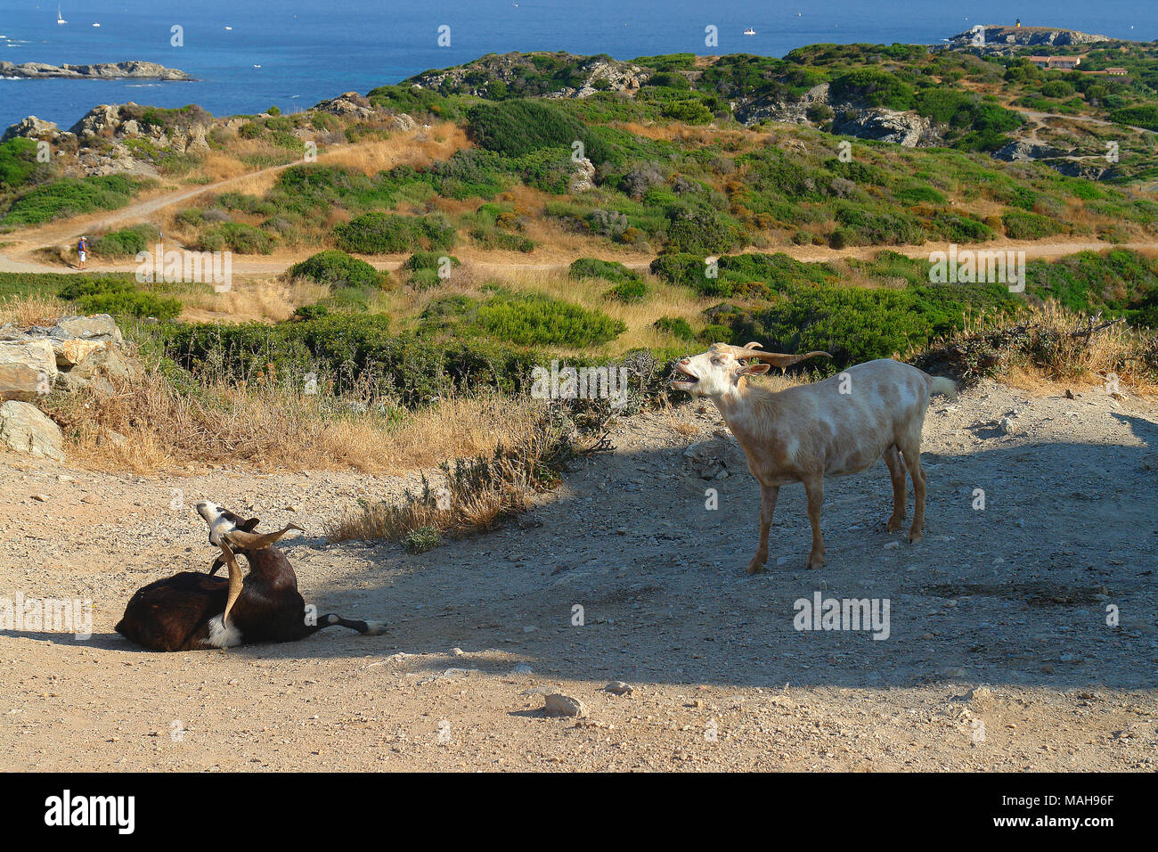 Embiez Islands High Resolution Stock Photography and Images - Alamy