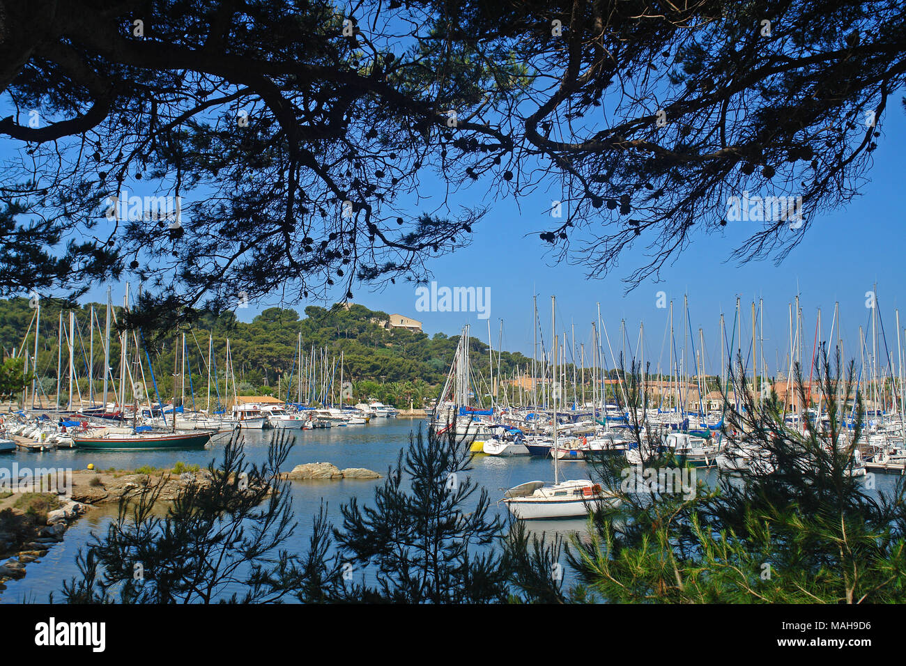 Port St Pierre of the Embiez islands Stock Photo - Alamy