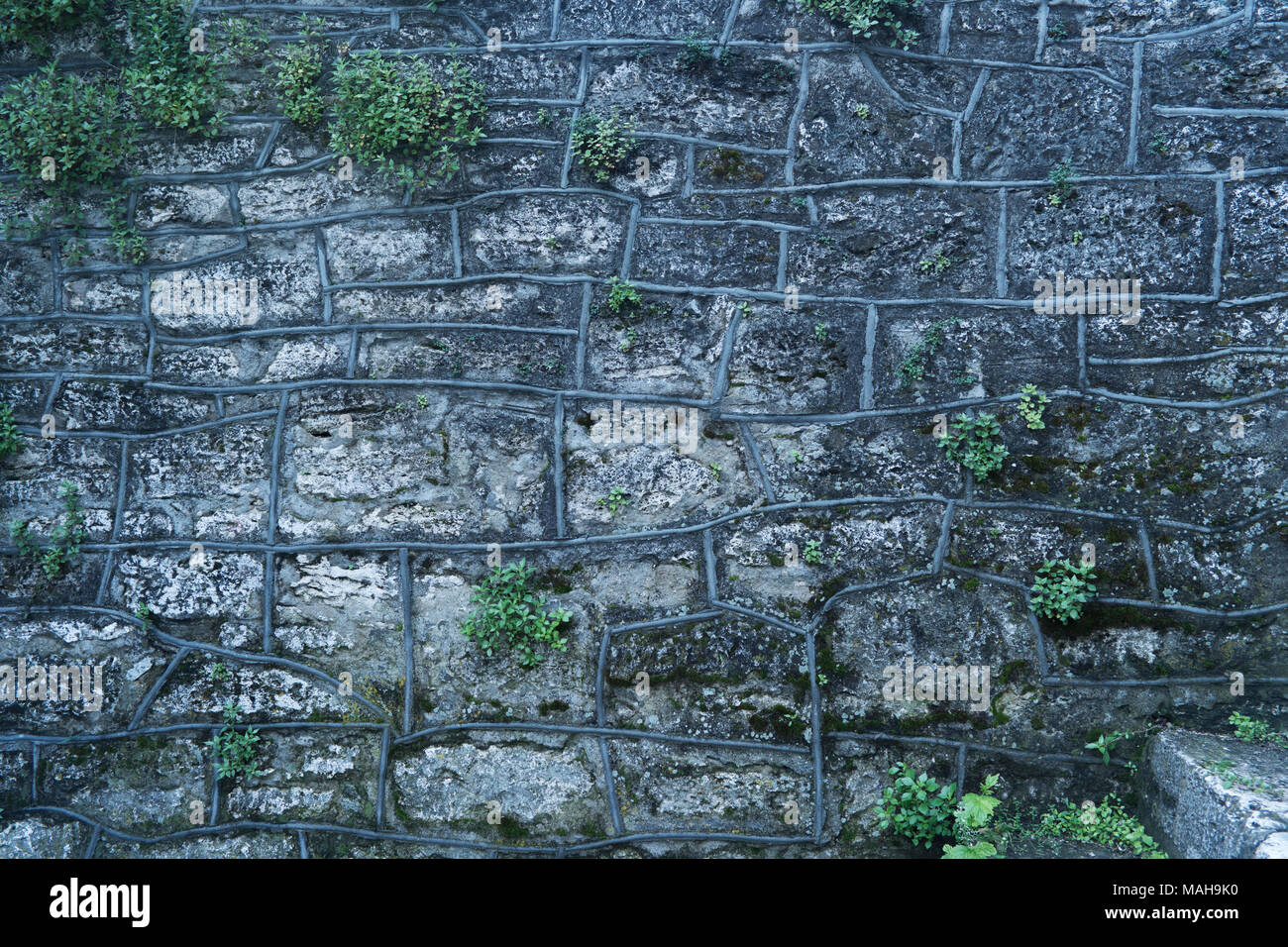 Overgrown wall hi-res stock photography and images - Alamy