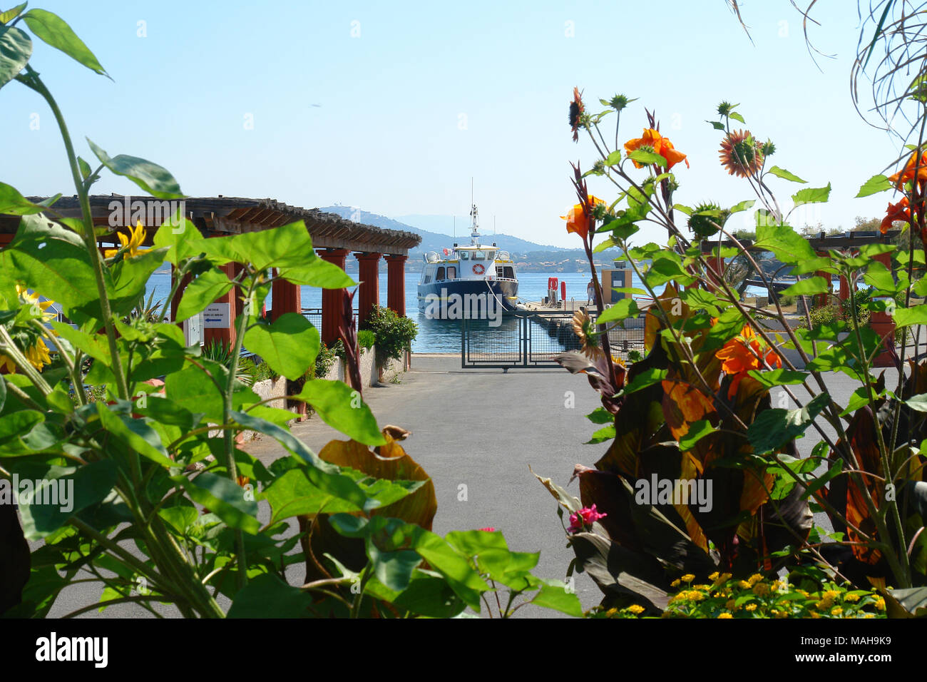 Shuttle of Port St Pierre of the Embiez islands Stock Photo - Alamy