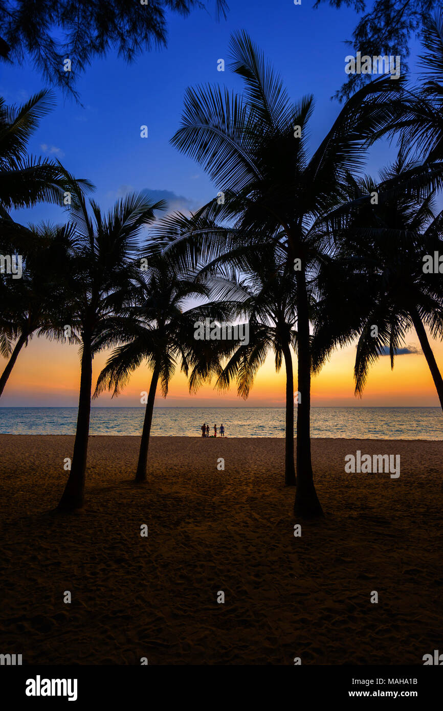 Tropical beach at sunset with coconut trees Stock Photo - Alamy