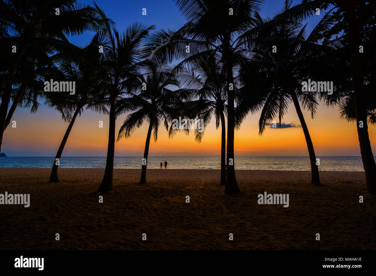 Tropical beach at sunset with coconut trees Stock Photo - Alamy