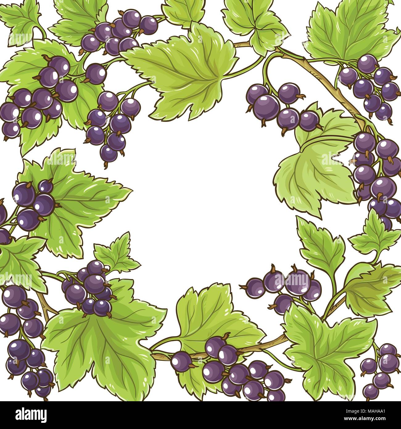 black currant vector frame on white background Stock Vector Image & Art ...