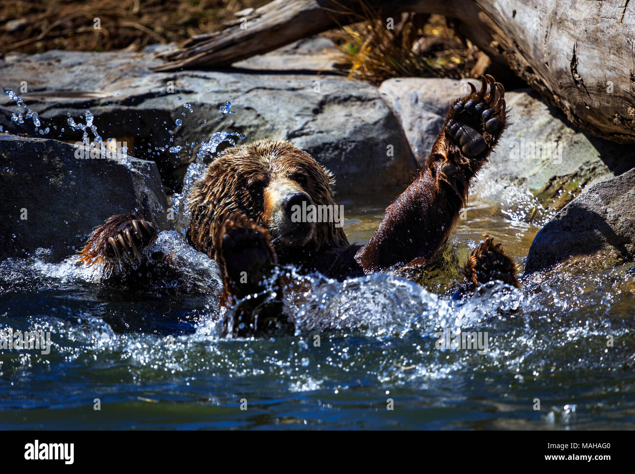 Bath time hi-res stock photography and images - Alamy