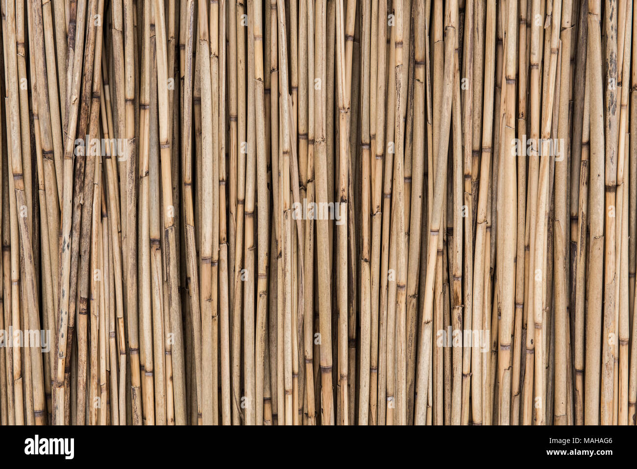 straw background, bamboo wall texture Stock Photo - Alamy